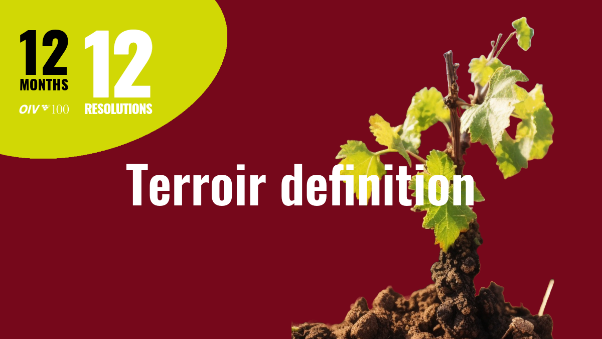 12 months, 12 resolutions: the definition of Terroir | OIV